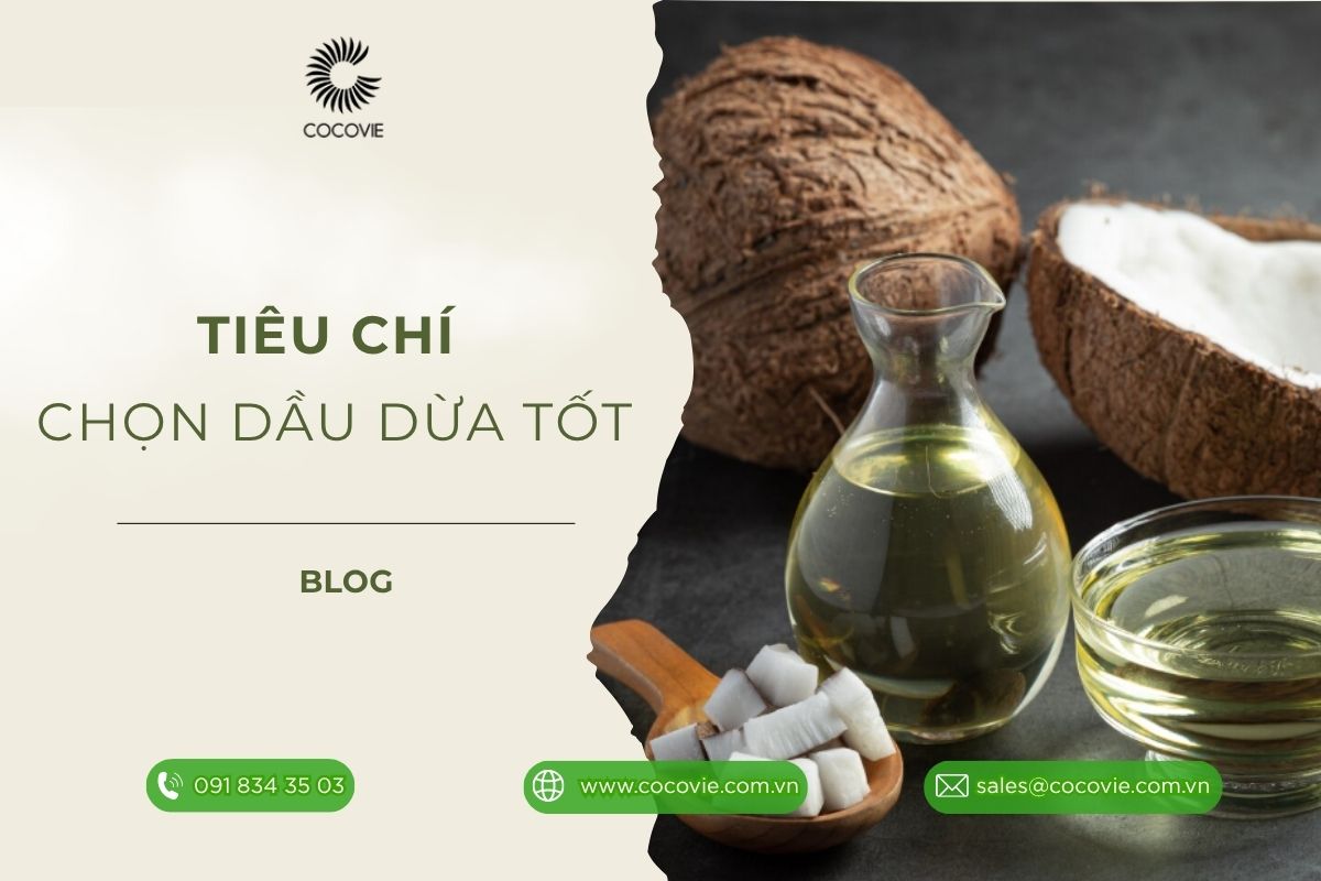 Khám phá 5 tiêu chí chọn dầu dừa tốt nhất hiện nay